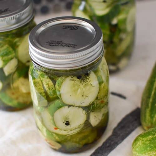 Quick Homemade Dill Pickles - The Dizzy Cook