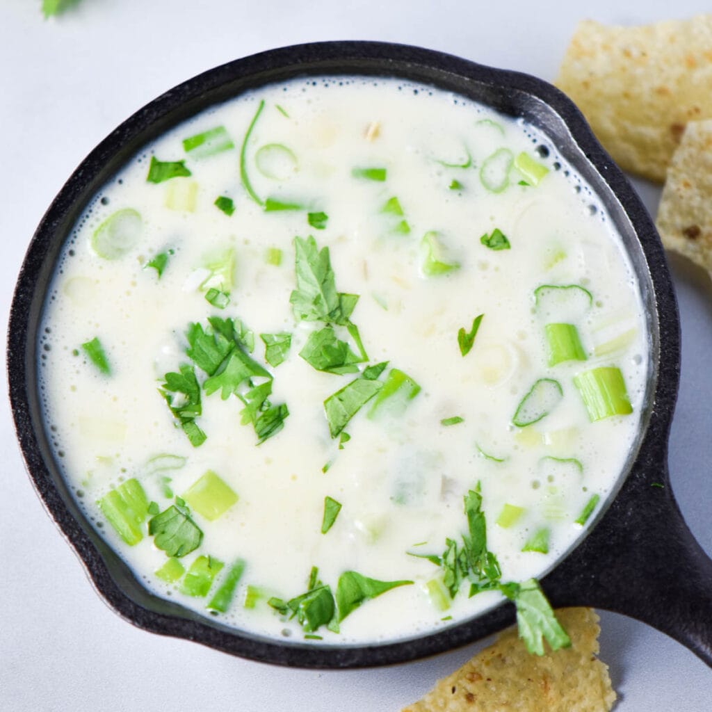 Mozzarella Queso Dip - The Dizzy Cook