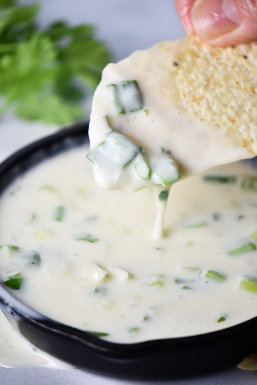 Mozzarella Queso Dip - The Dizzy Cook