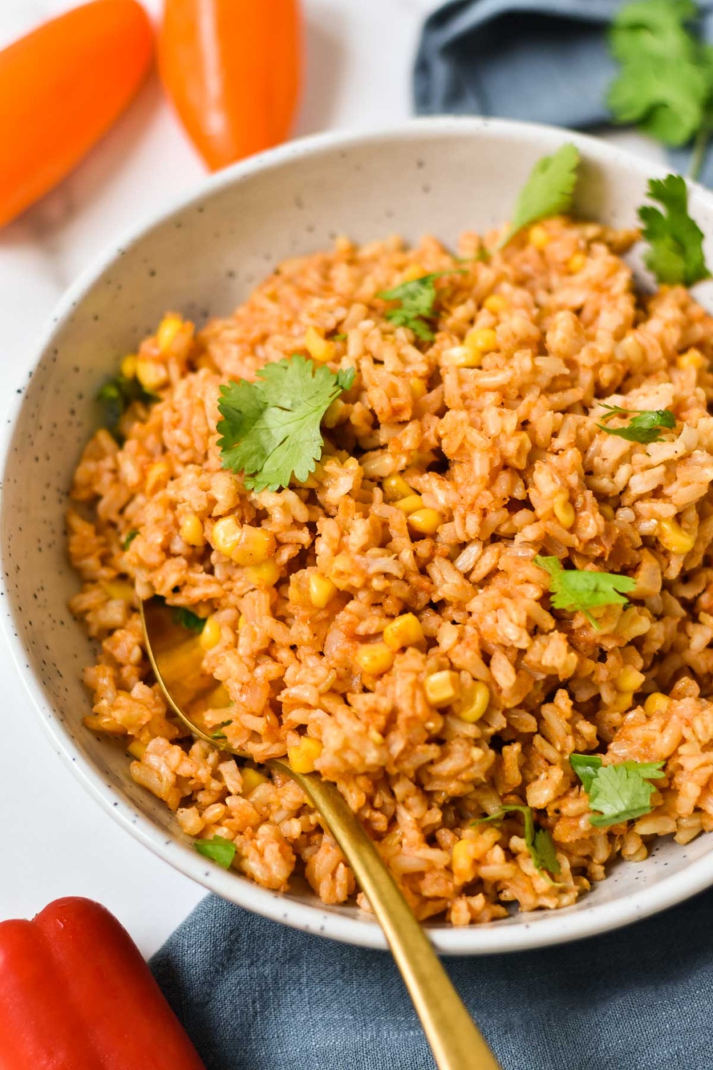 Spanish Brown Rice - The Dizzy Cook