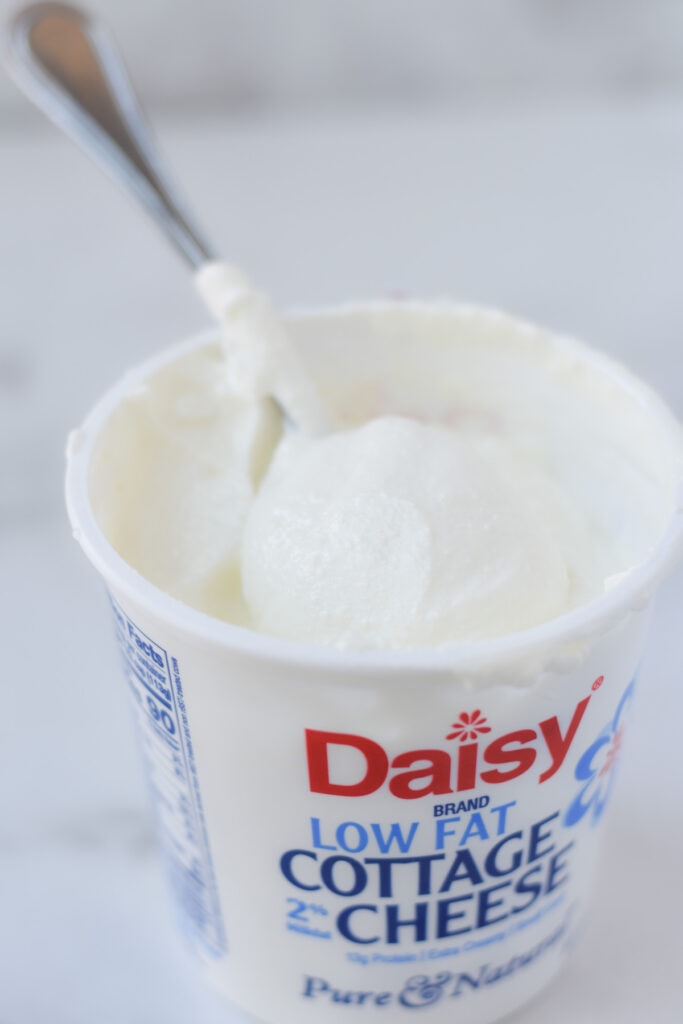 Blended Cottage Cheese - The Dizzy Cook