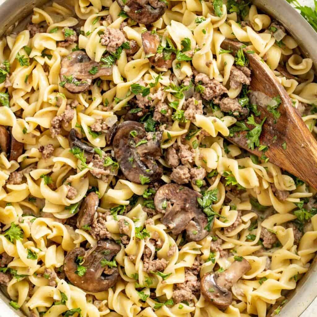 Tagground Beef Stroganoff Recipes Without Sour Cream