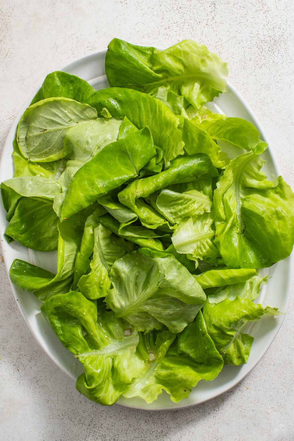 Simple Bibb Lettuce Salad - The Dizzy Cook