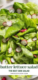 Simple Bibb Lettuce Salad - The Dizzy Cook