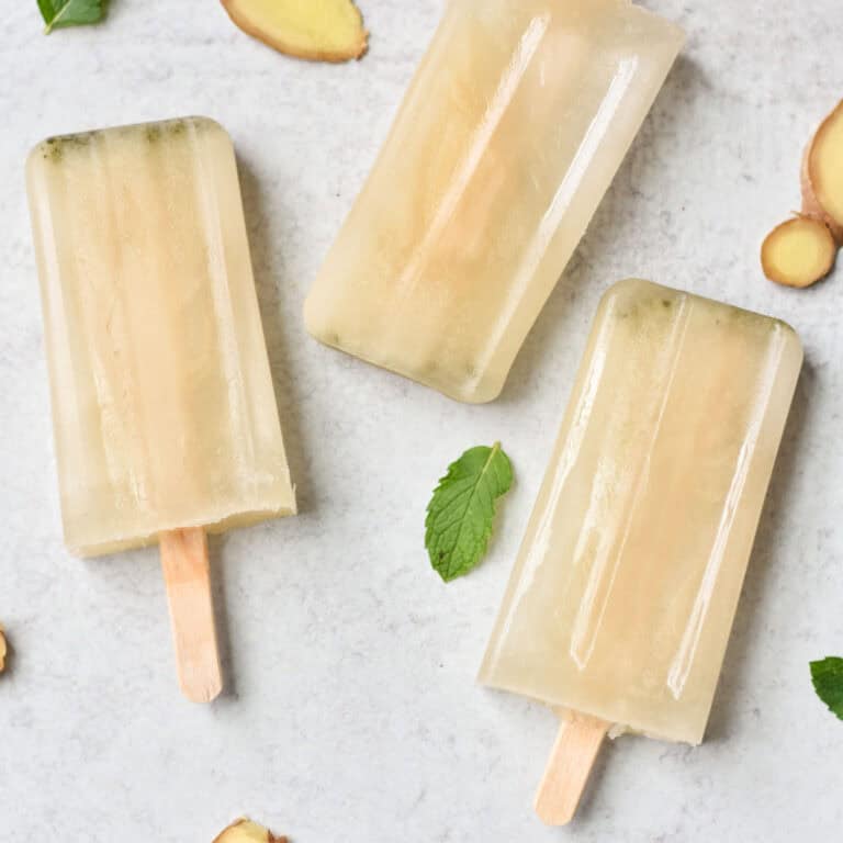 Electrolyte Popsicles - The Dizzy Cook