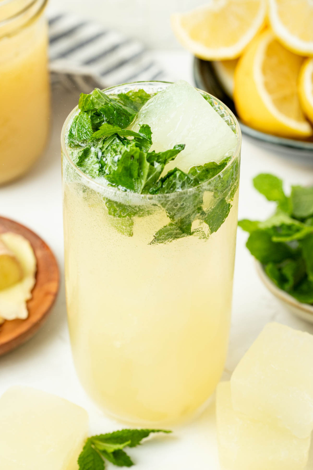 Ginger Beer Mocktail with Lemon - The Dizzy Cook